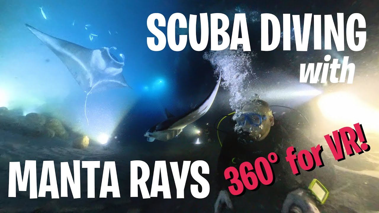 Scuba Diving with MANTA RAYS at NIGHT! | 360° Video for VR - YouTube
