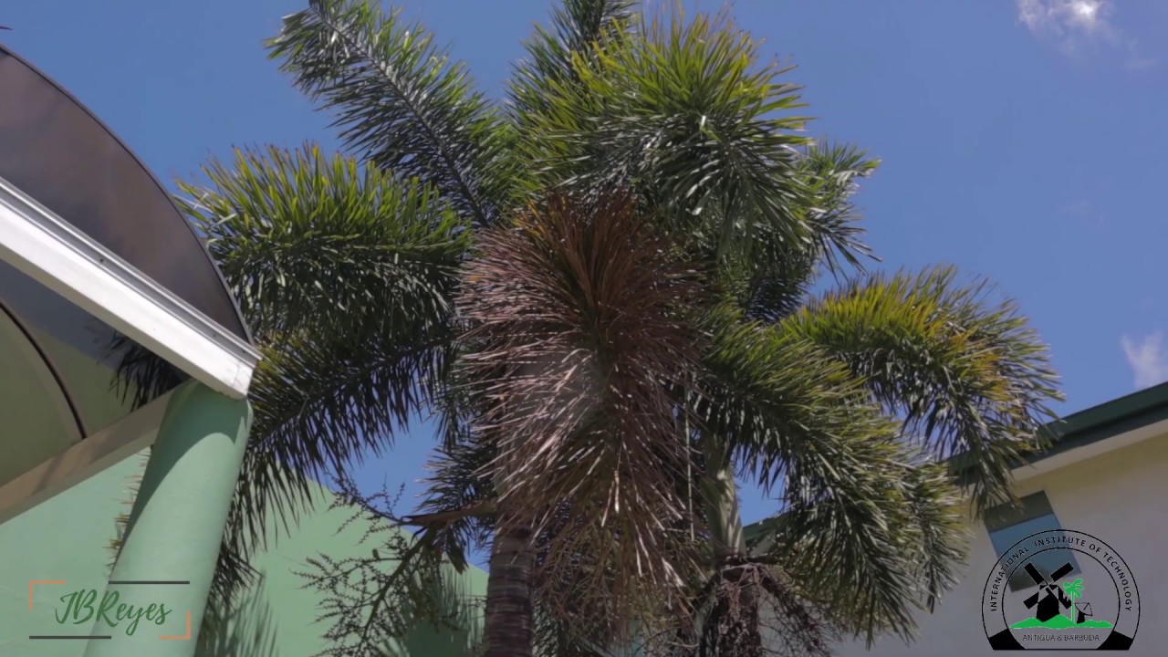 Unboxing & Review of ABIIT - YouTube