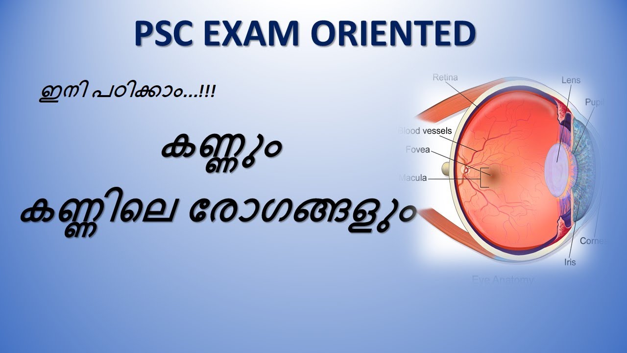 Eye and its defects|science|psc,ssc and Railway exams - YouTube