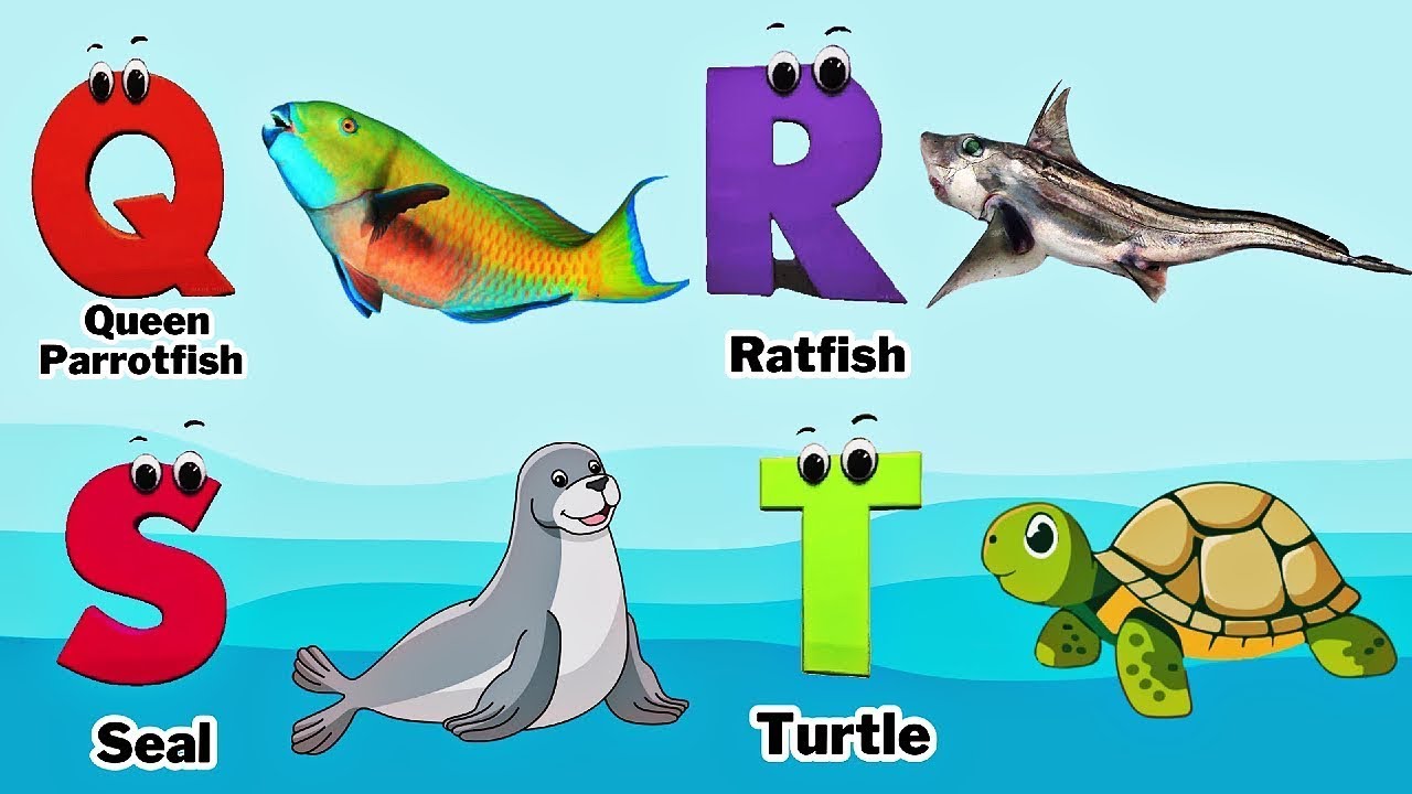 ABC - Alphabet Song - ABC Song - Collection - 2024 #1818 - YouTube