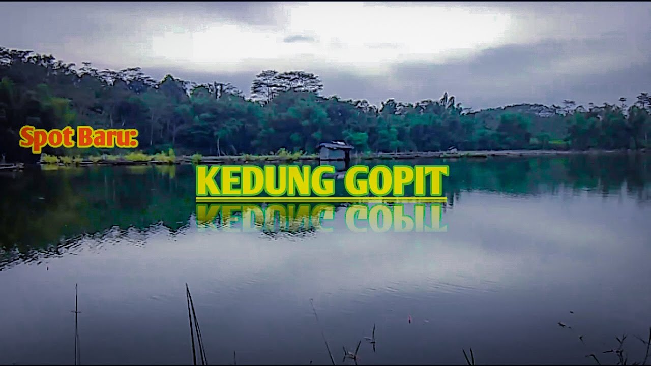 Ikan nya disini sangat rakus||Spot baru Kedung gopit balok an||mancing ...