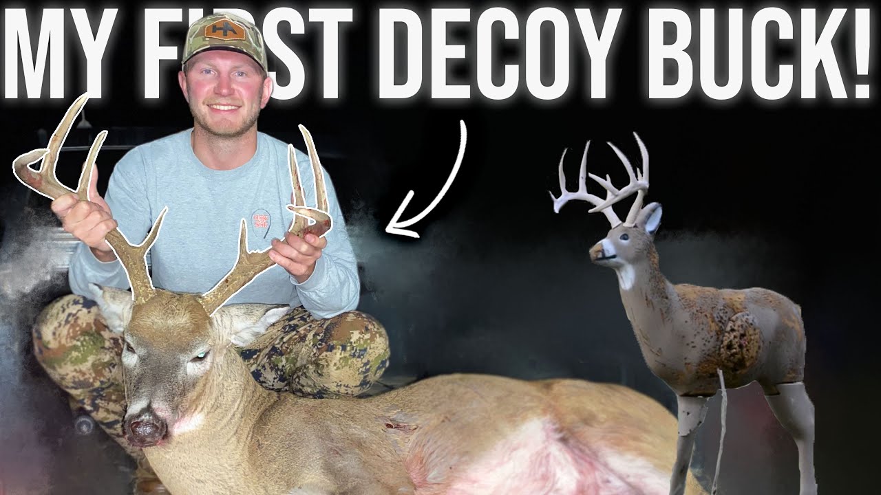 MATURE BUCK Comes To 3D Decoy! (Beat-up Bow Target) - YouTube