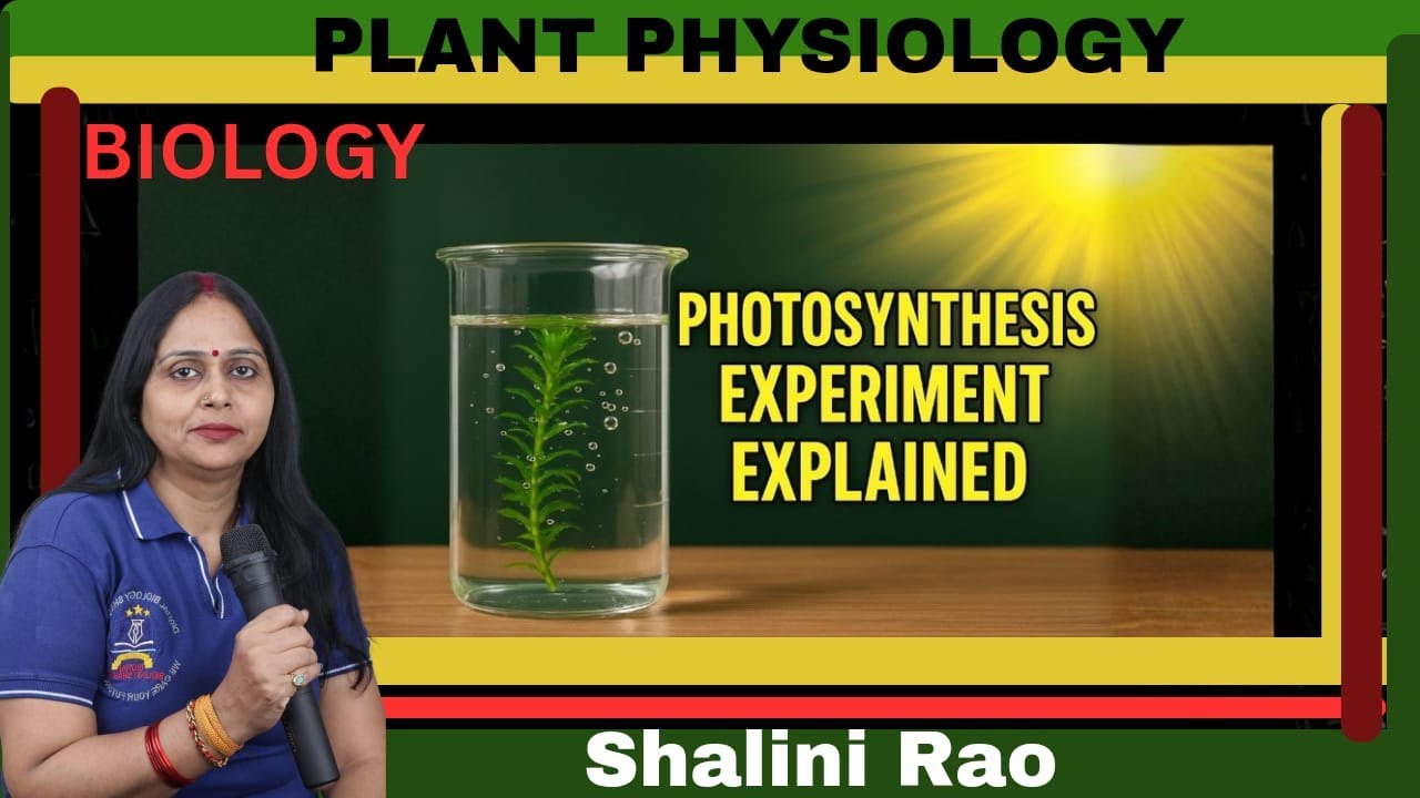 “Photosynthesis Experiment Explained I Plant physiology I Bio Practical ...