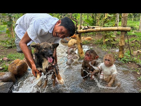 ❤️ A Happy Day In Uncle Nam's Big Animal Family | Jobi, Hope And Lucky's Heartwarming Adventure 🐒