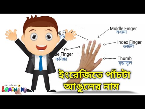 Name of five fingers in Bengali |হাতের পাঁচ আঙুলের নাম - YouTube
