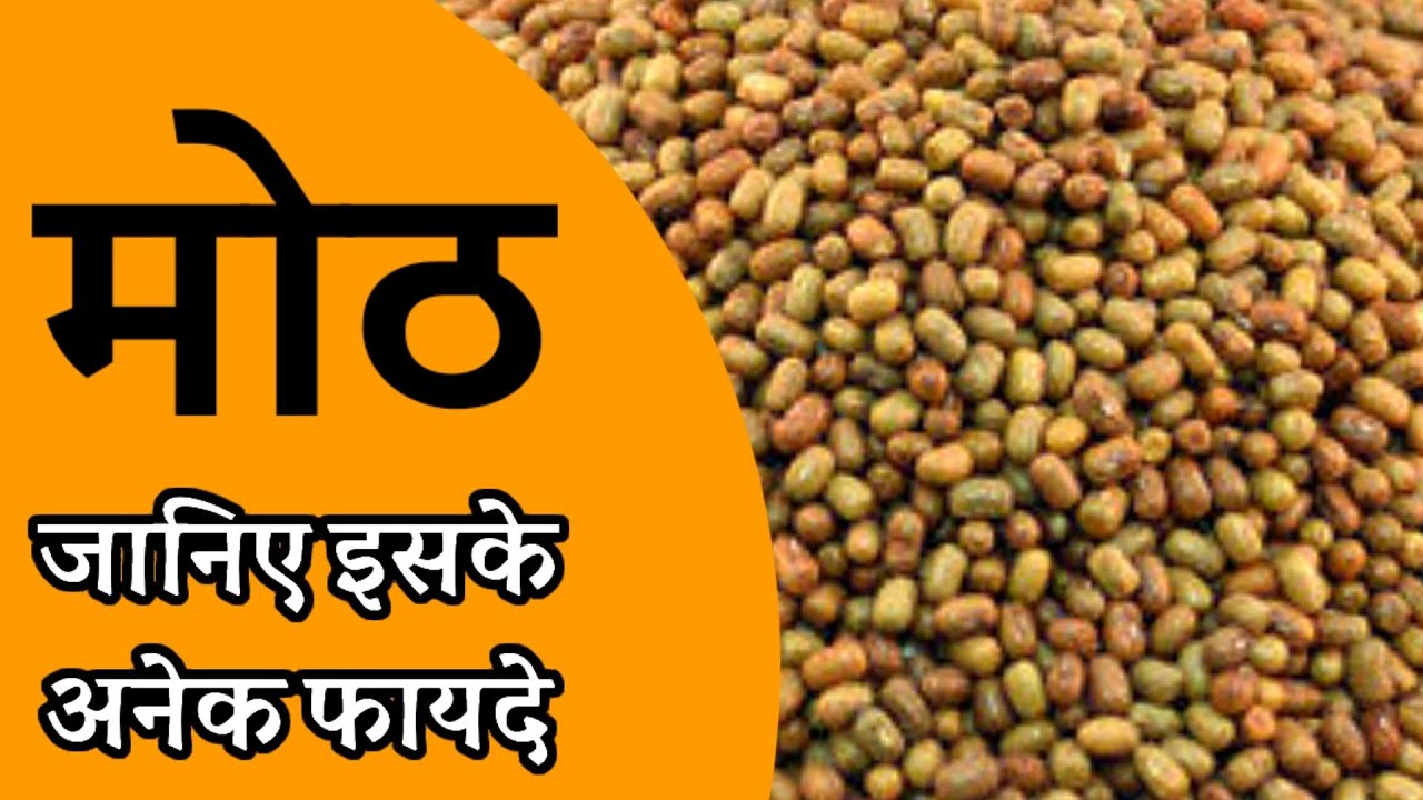 Moth Mogar Daal/Full Benefits and Information with Details/By Vishal ...