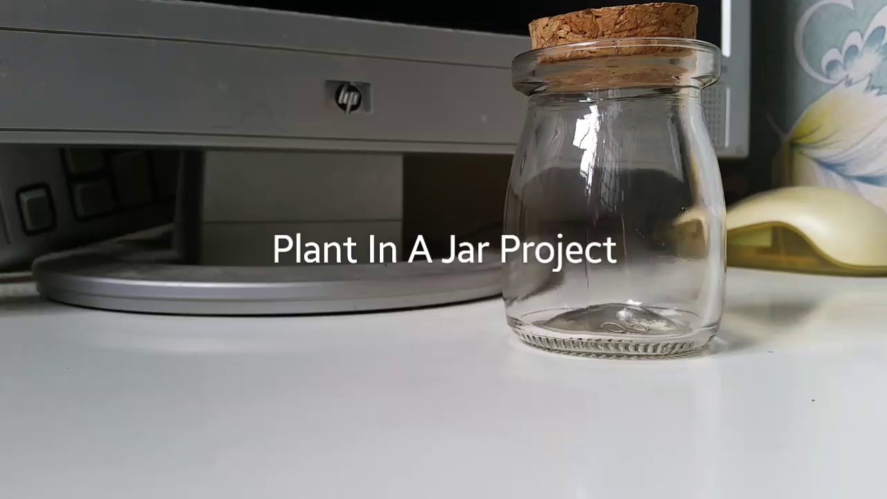 Plant In A Jar Project Pt 1 - YouTube