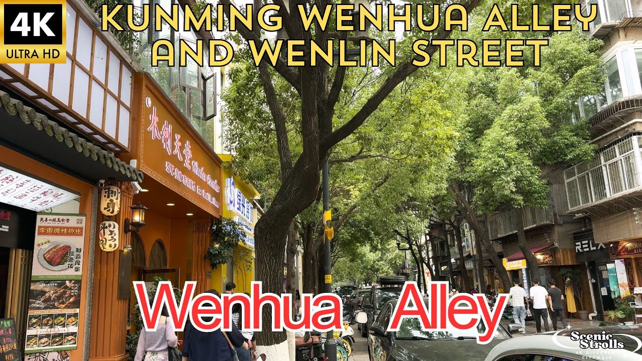 Discover the Unique Charm of Kunming's Wenhua Alley and Wenlin Street #Travel Vlog #China Travel ...