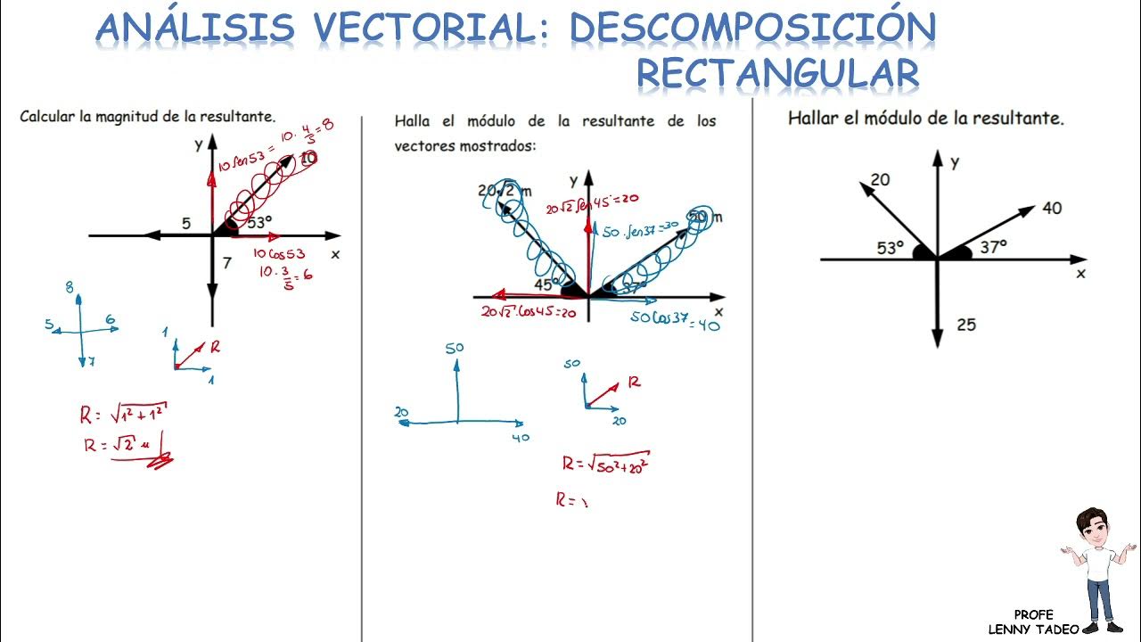 AnÁlisis Vectorial DescomposiciÓn Rectangular Youtube