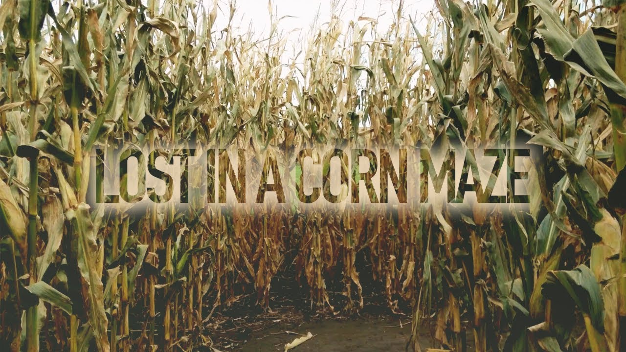 Lost in a Corn Maze - Heartland Country Corn Maze - YouTube