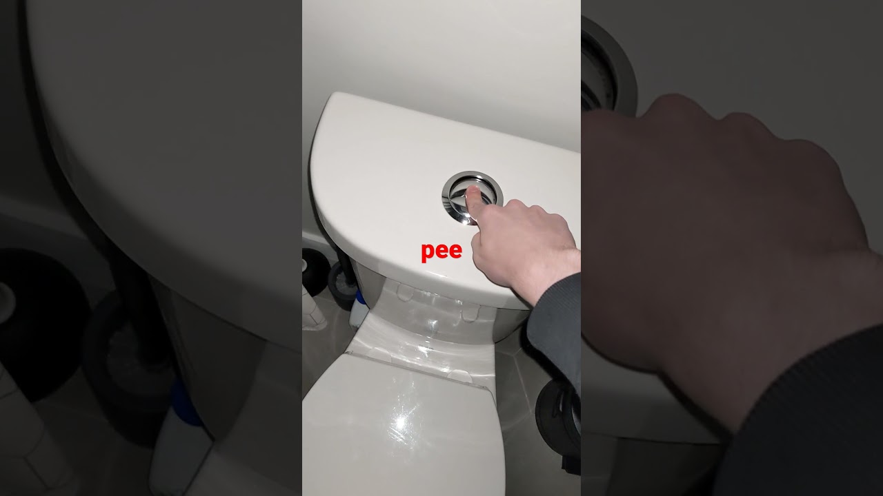 pressing the pee button at the same time as da poop button on toliet (# ...