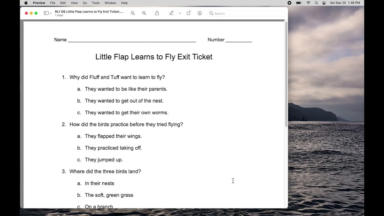 Little Flap Learns to Fly Exit Ticket - YouTube