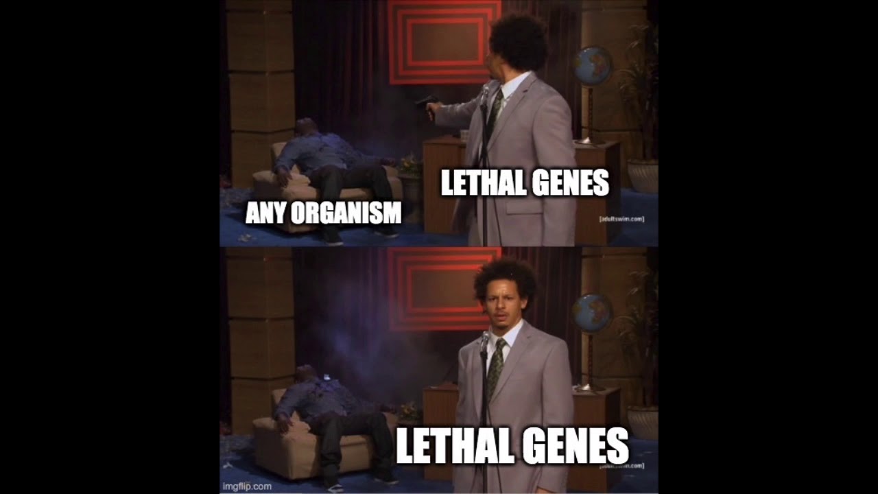 Biology 111A Memes for Exam #3 - YouTube