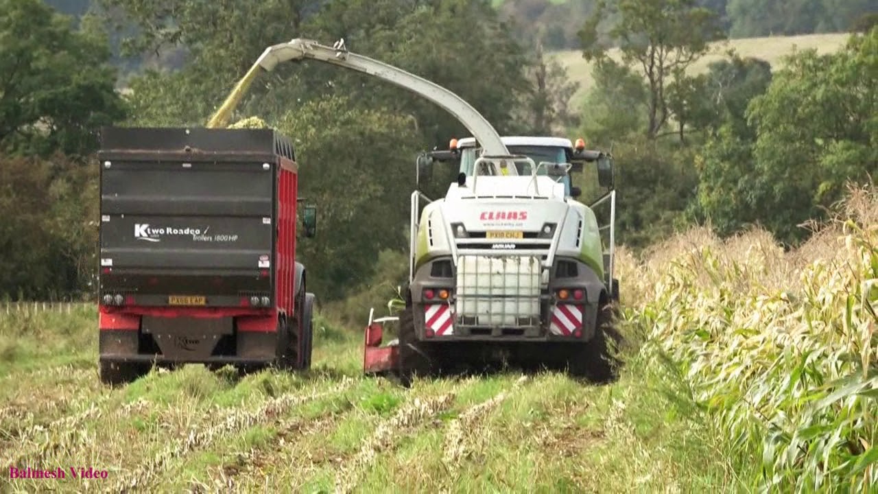 Maize by the River - Claas 860 and Six Tractors. - YouTube