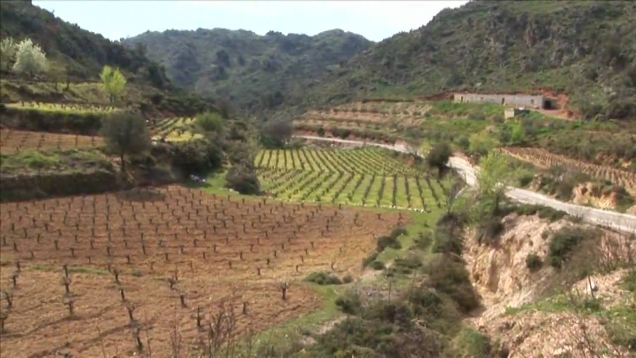 7. Chania | Nature [HD][ENG] - YouTube