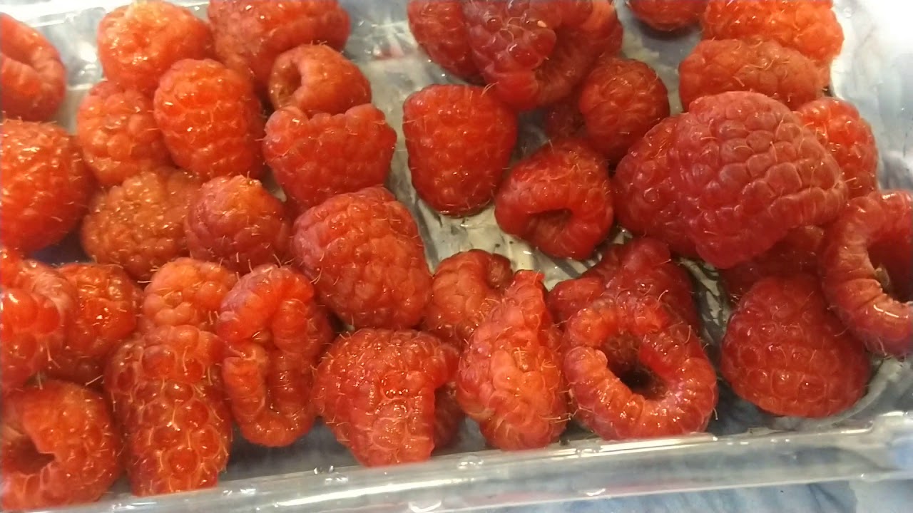 Raspberries with flies from Tesco - YouTube