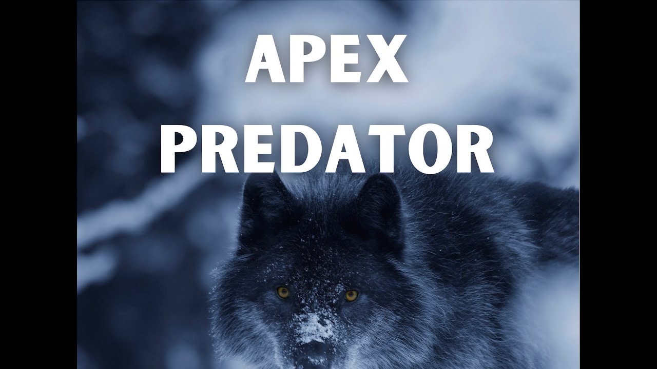 Apex Predator by Michael Oare - YouTube