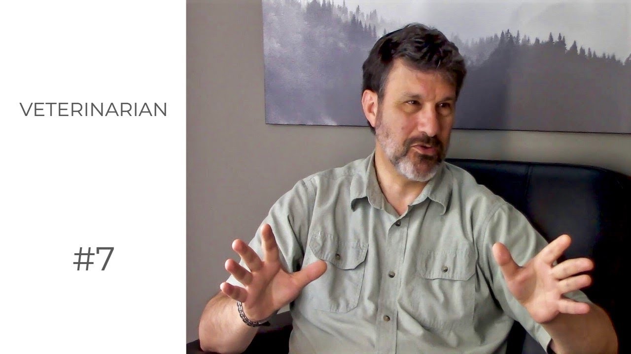 A Conversation With A Veterinarian | Michael Philbrick - YouTube