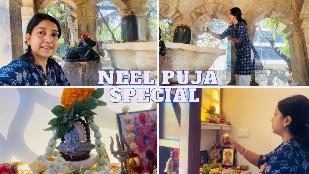 Neel puja Special Vlog | Our Village Special Neel Sasti Puja 2023 Ji ...