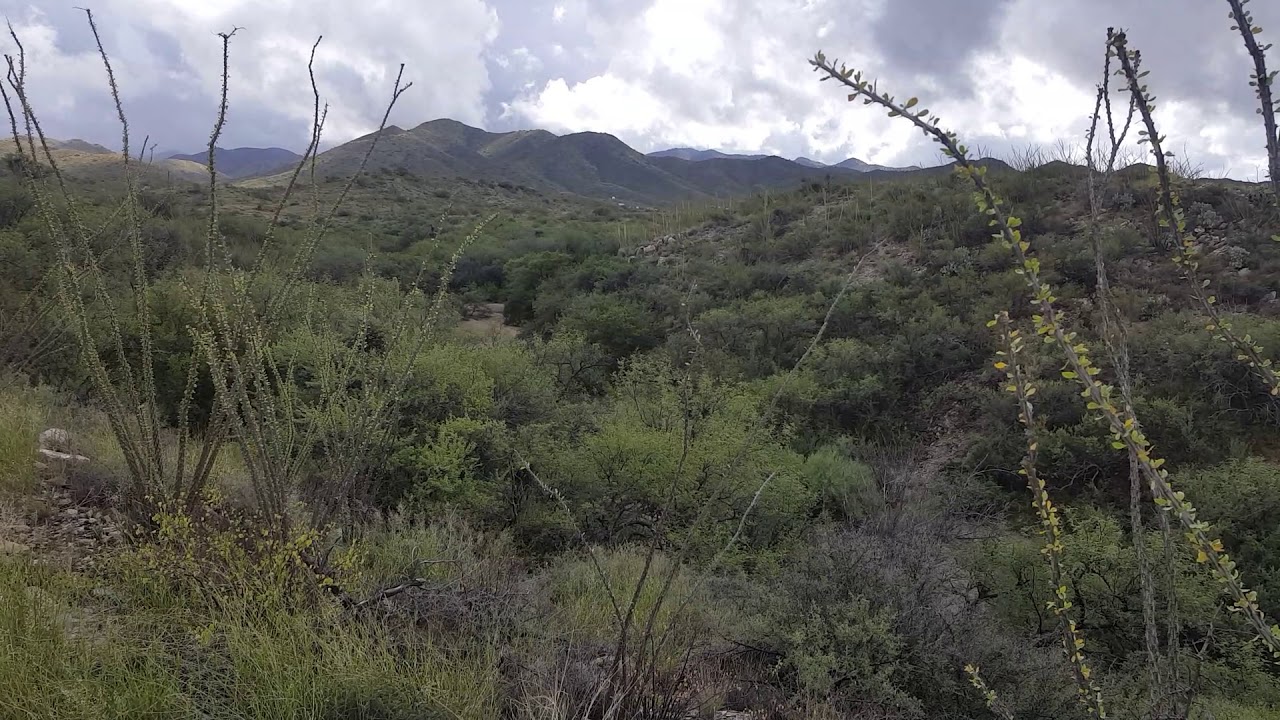 Caballo Loco Ranch near entrance - YouTube