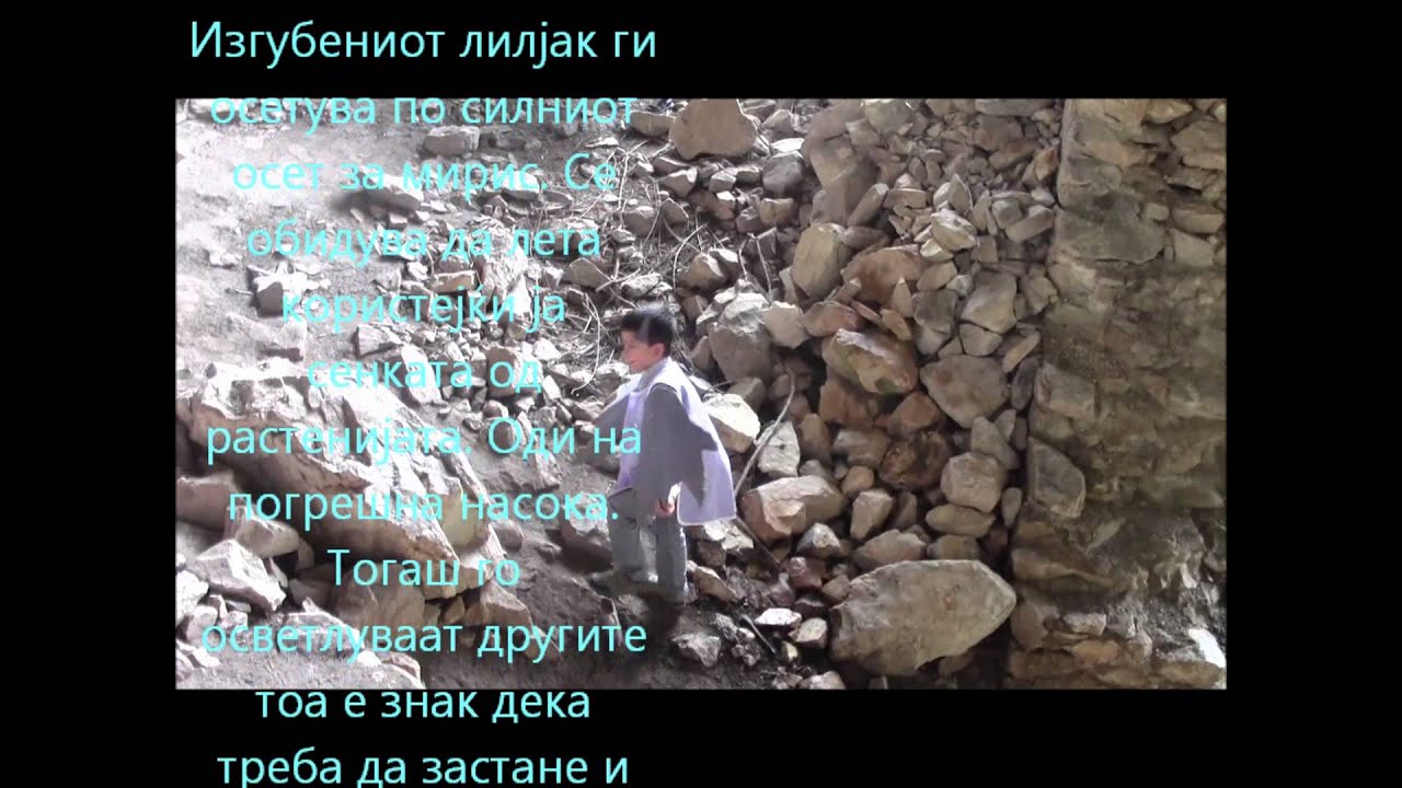 Eko igra Pestera Pesna M Brod - YouTube