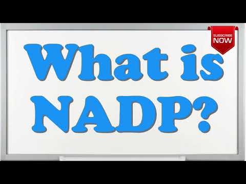 What is the full form of NADP? - YouTube