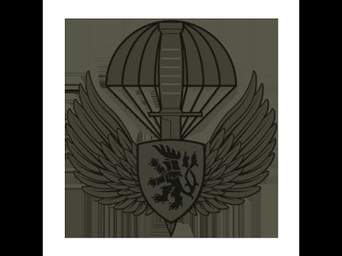 Task Force Lion Arma 3 Mod guide - YouTube