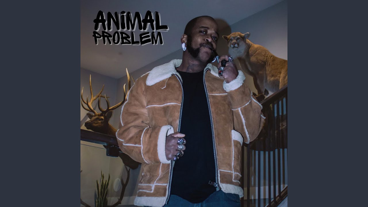 Animal Problem - YouTube