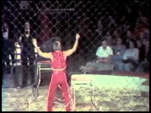 Werner Stiebner - Leoparden & Schwarze Panther - Circus Knie 1973 - YouTube