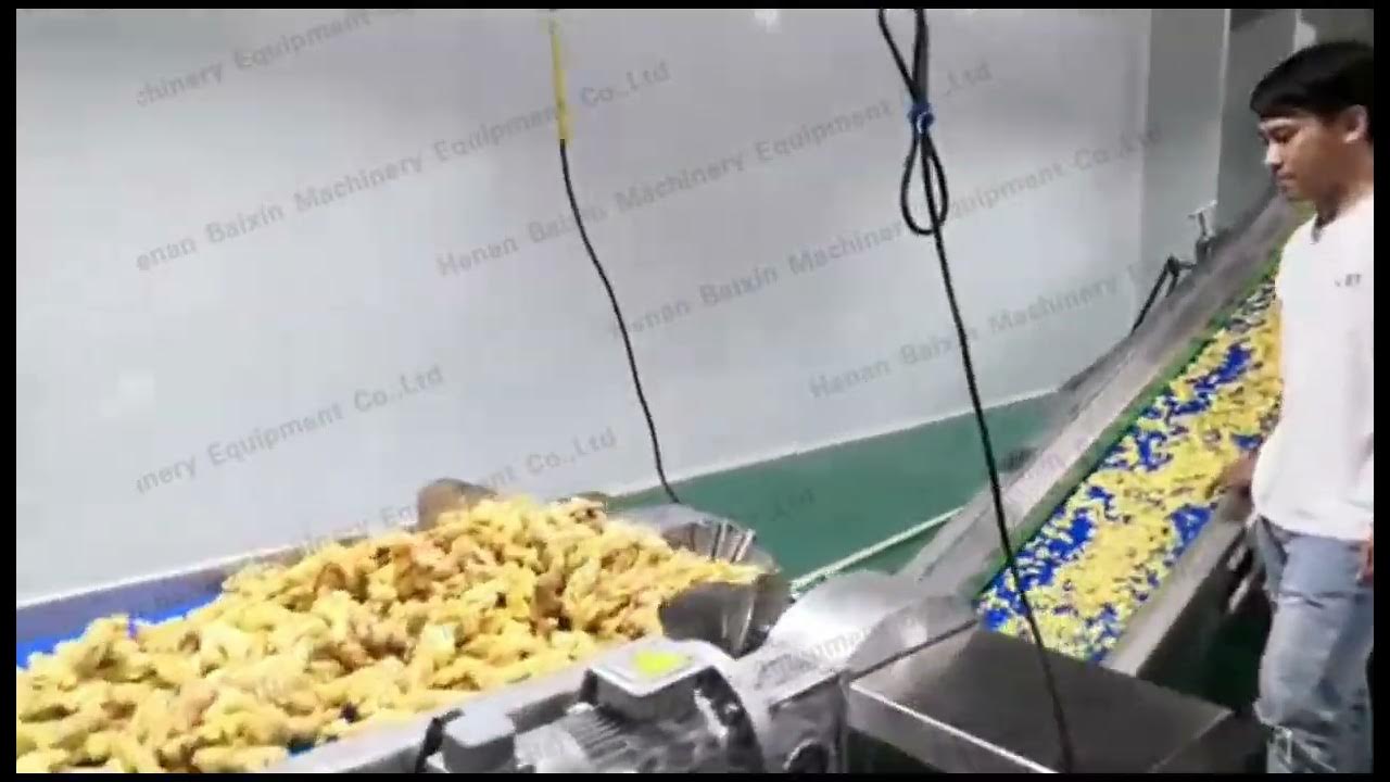 Ginger production line/ginger powder processing/ginger machinery - YouTube