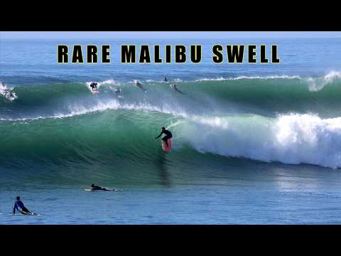 Chasing a Rare Malibu Swell in March
