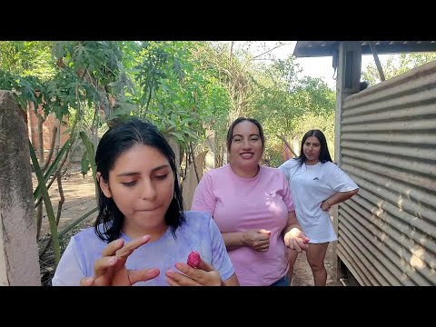 🔴-esmerald4 har¡a una película🎥con un buen material⁉️ esta fue su respuesta😱