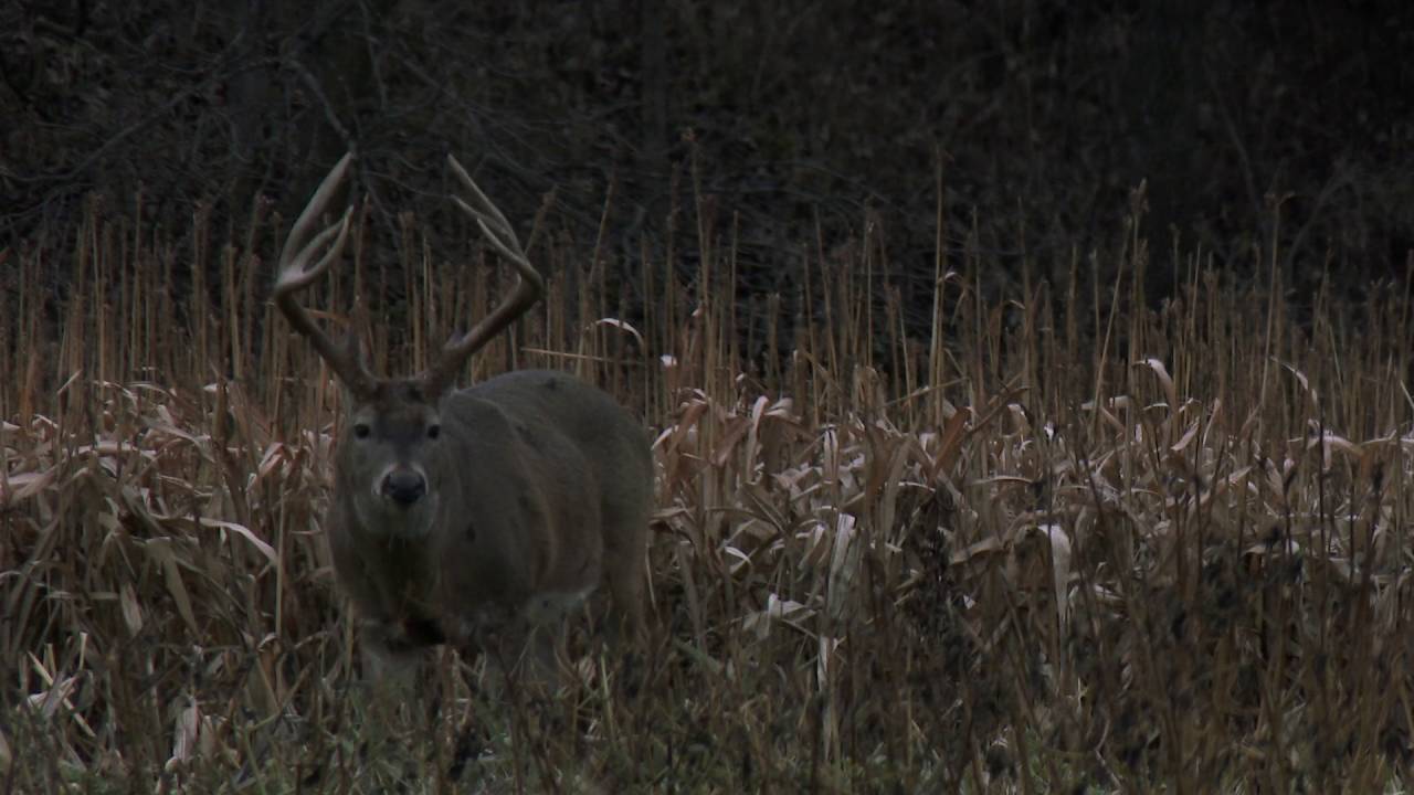 Raised Hunting Season 3 Show Open - YouTube
