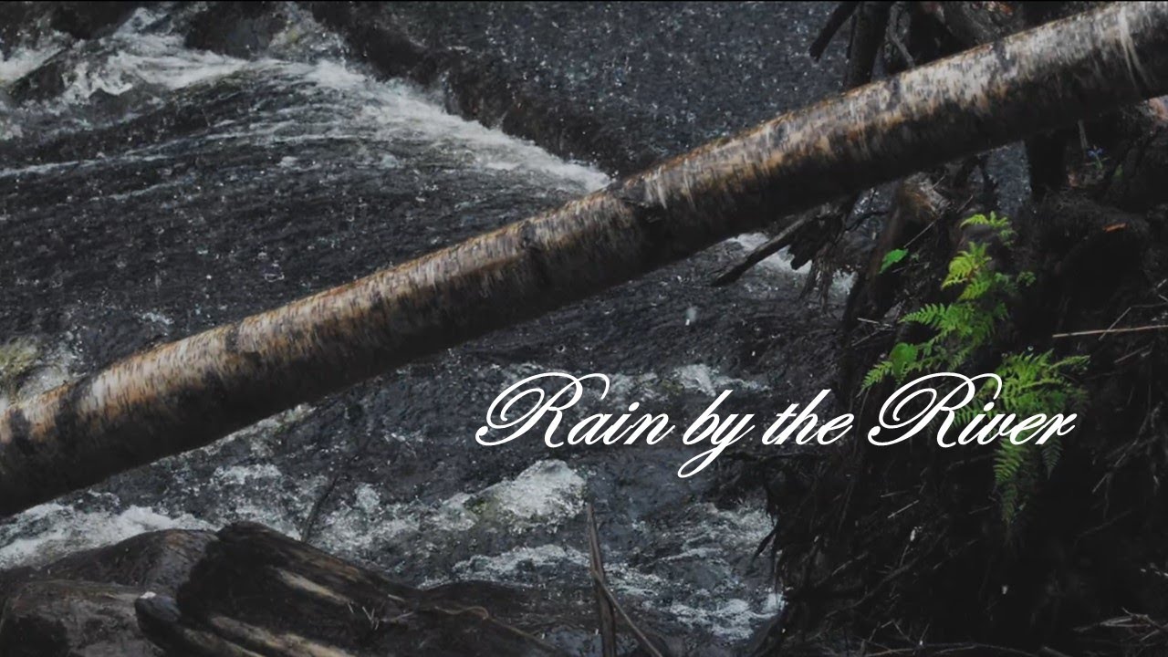 a gentle rain by the river 🌧️°｡⋆⸜ 🎧 | Relaxing rain and river sound ...