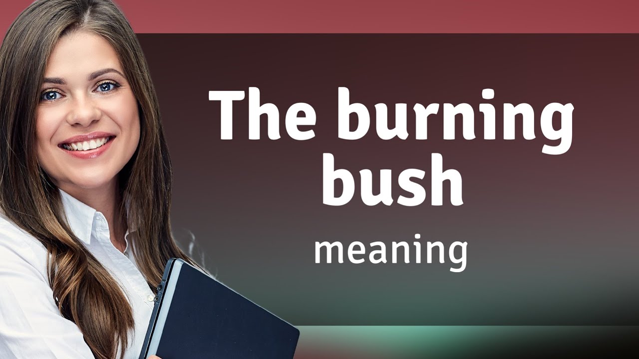Understanding the Phrase "The Burning Bush" - YouTube