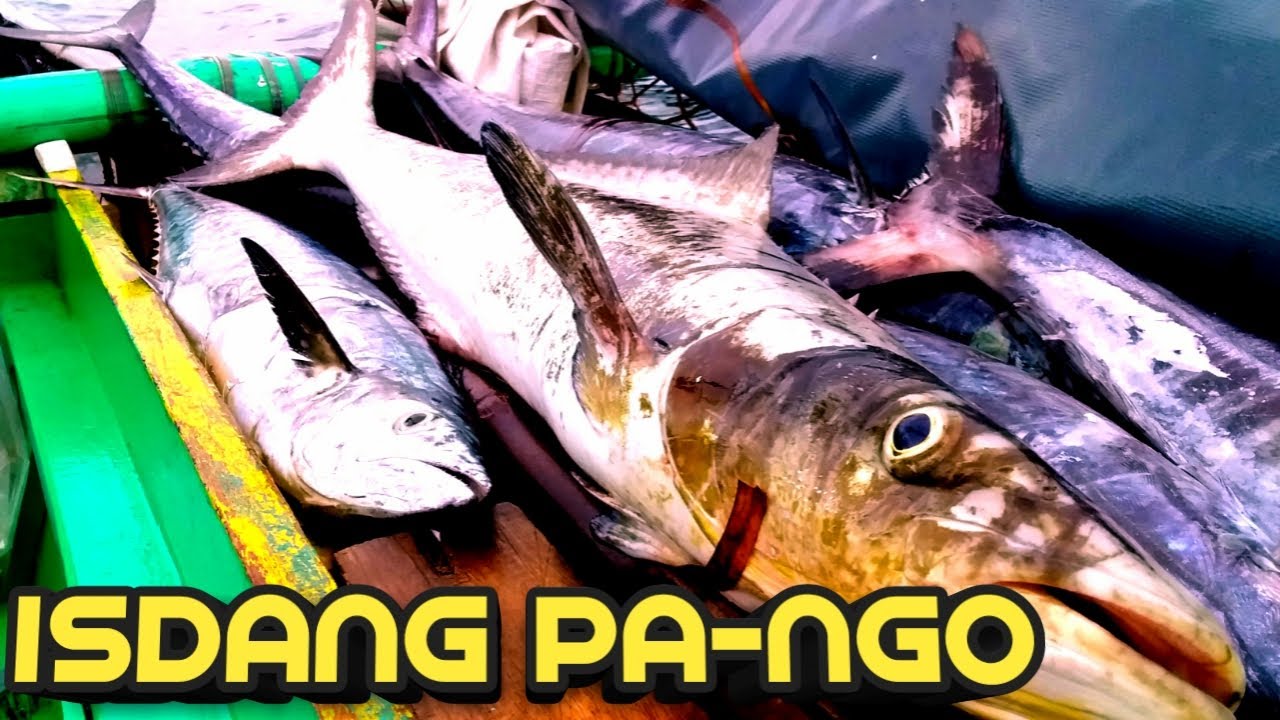 May NAHULI KAMING ISDANG PA-NGO MAG KANO KAYA ANG HALAGA NITO? /PAMO ...