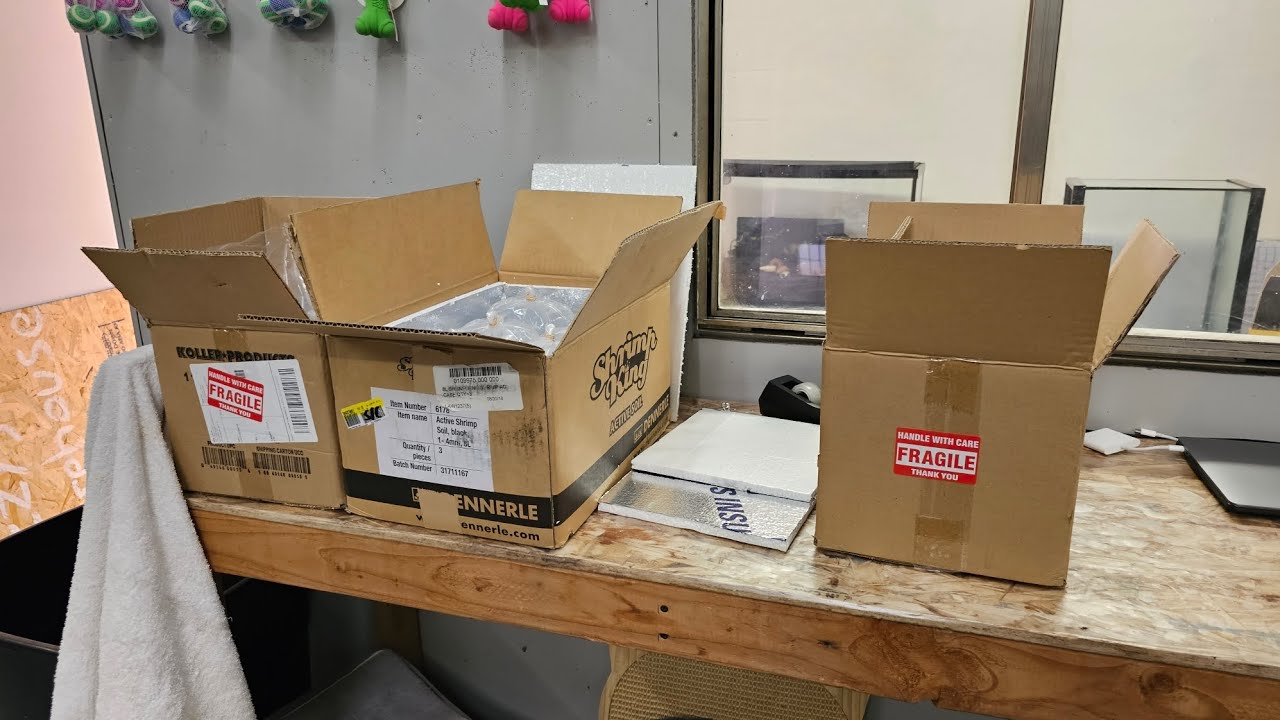 How to make your own insulated fish Shipping box - YouTube