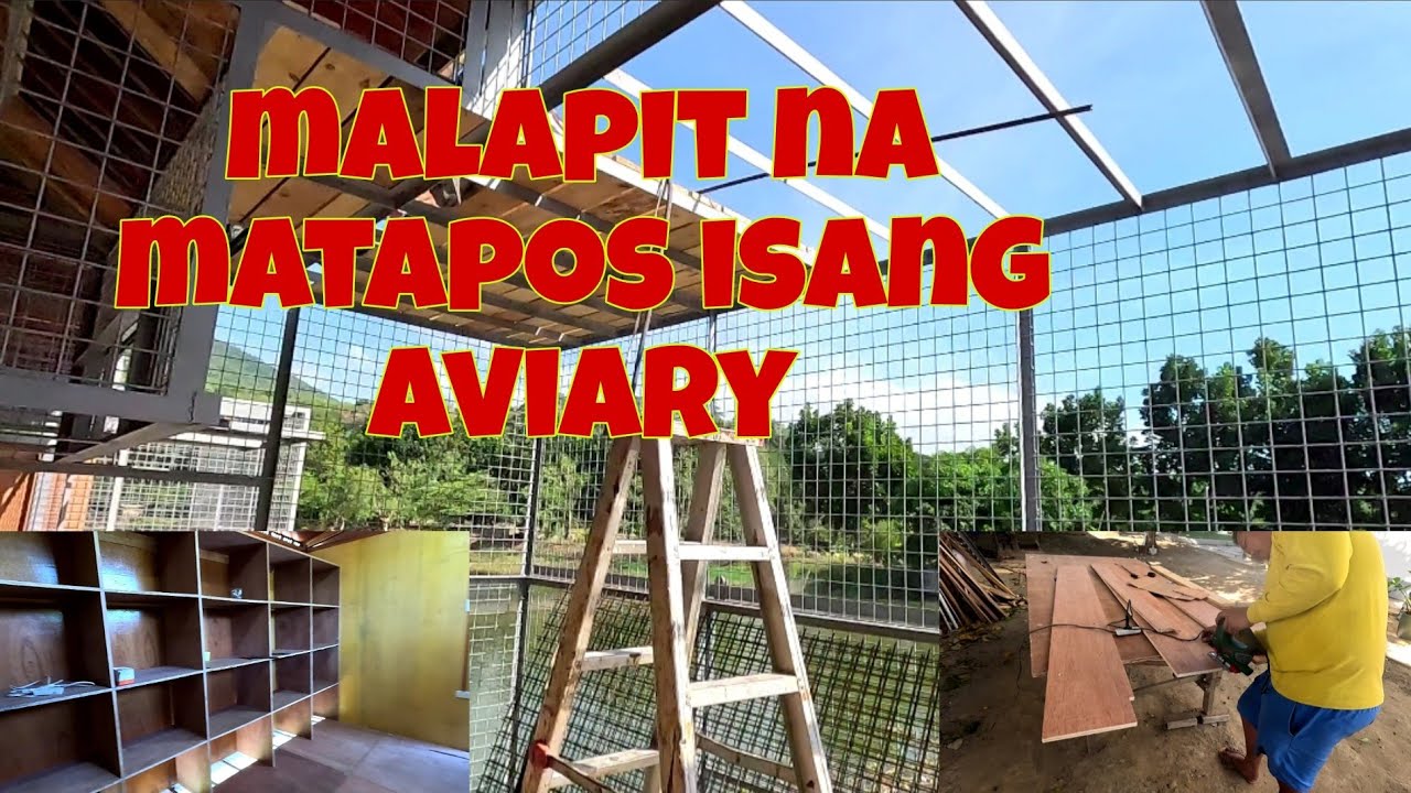Pigeon Loft Project | Tapusin na muna ang 2 aviary | waiting kami sa dowels - YouTube