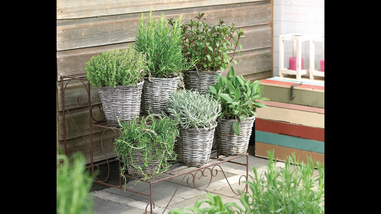 #11 - Herb Collection - YouTube