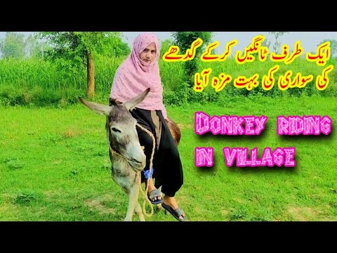 Donkey riding with New style | Donkey rider lady - YouTube
