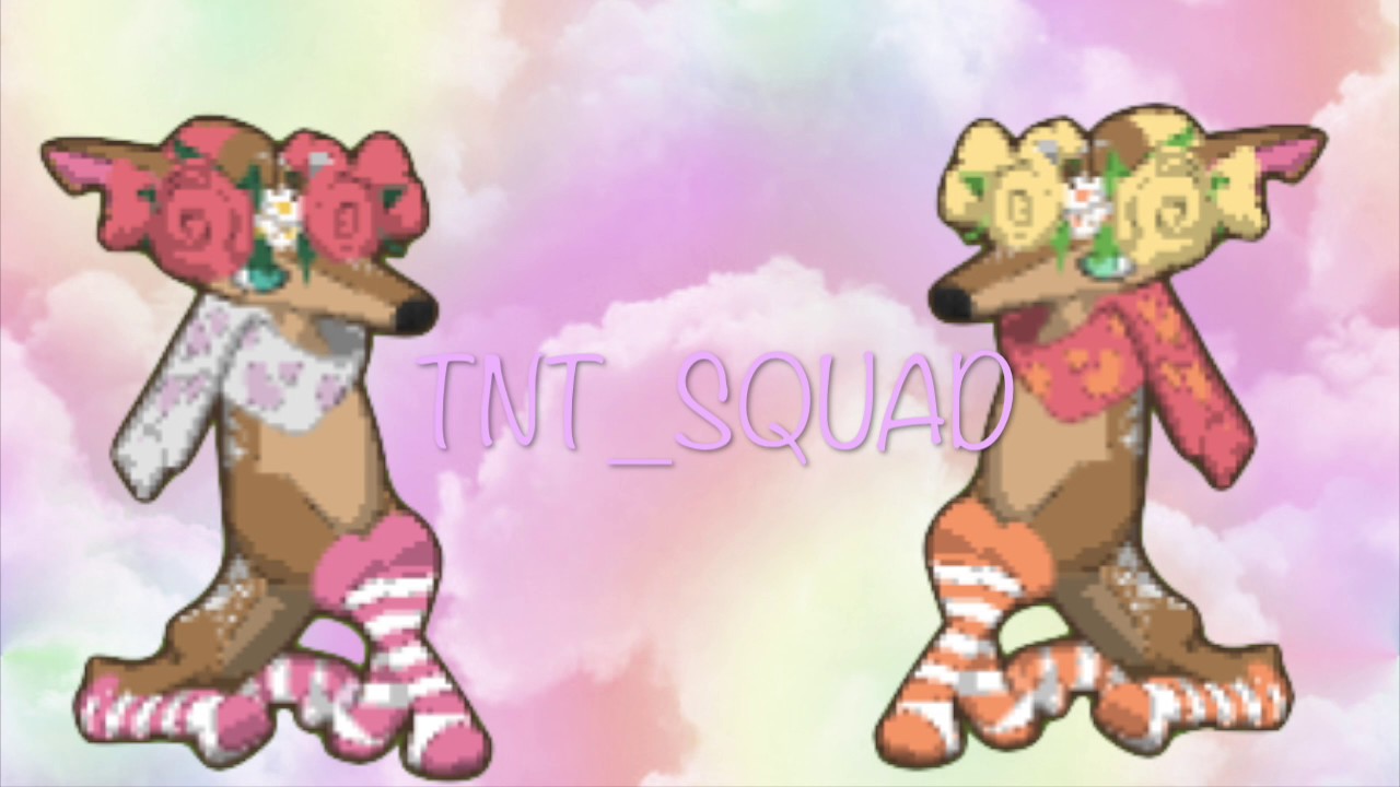 TNT Squad Intro ! ( ^ U ^ ) - YouTube