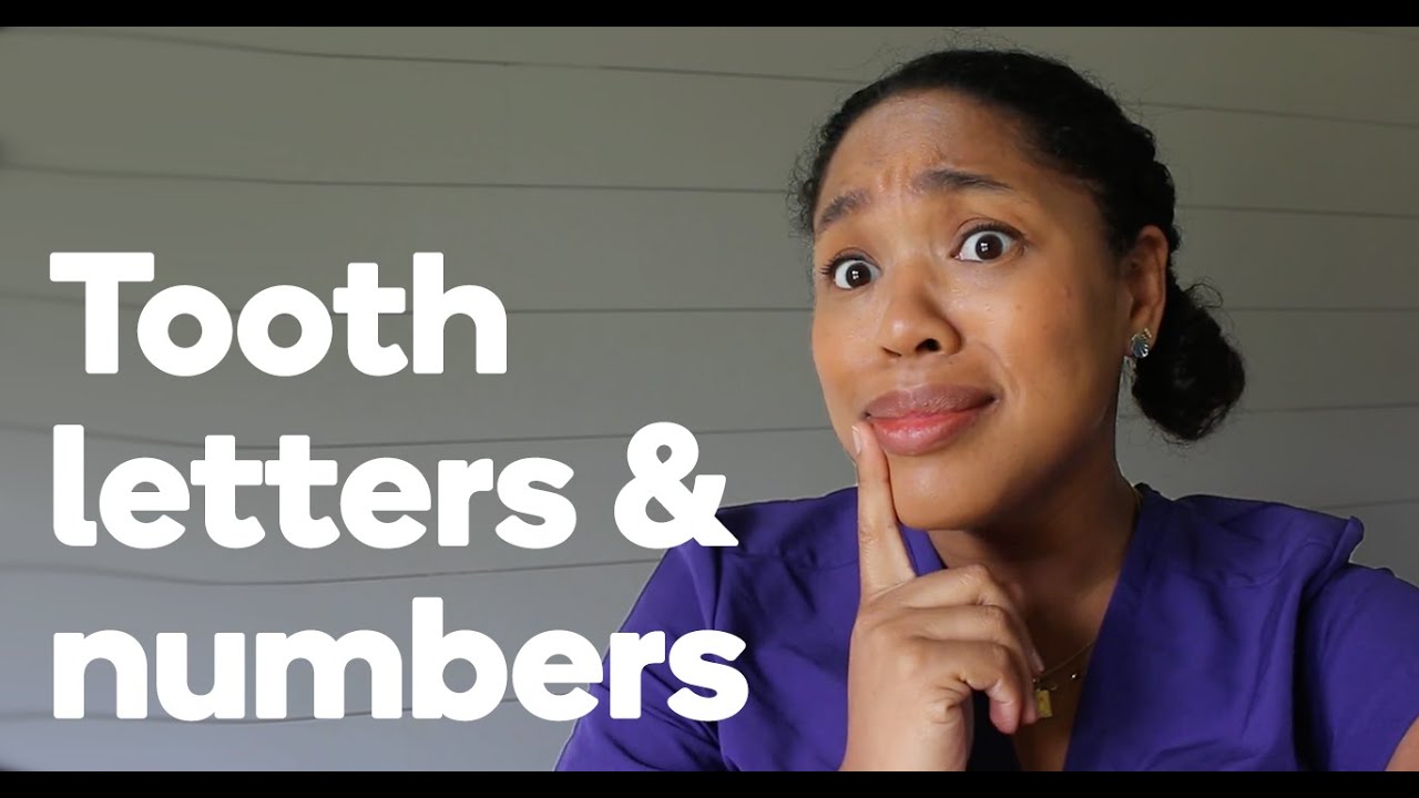 Understanding tooth letters and numbers - YouTube