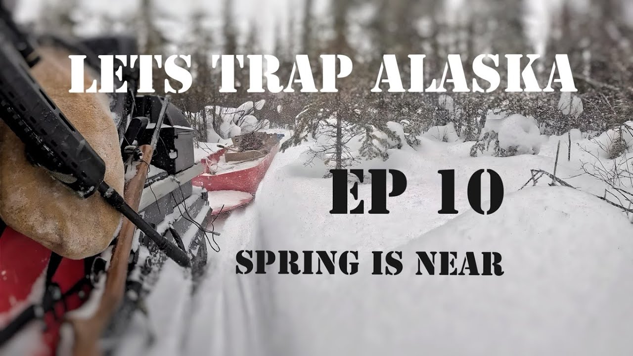 Let's Trap Alaska Ep 10 (Spring Is Near) - YouTube