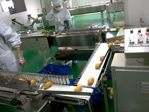 Automatic Cake Production Line III - YouTube