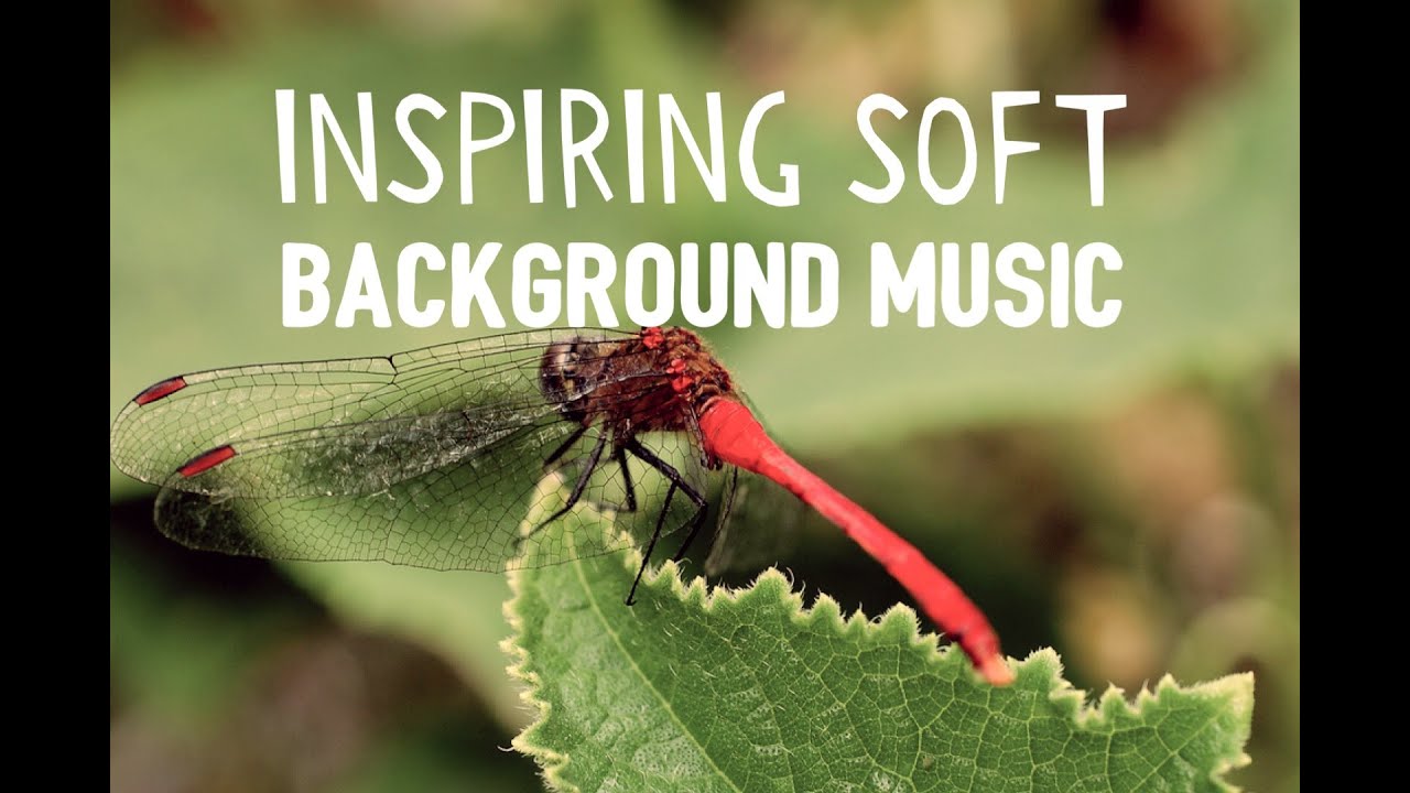 Inspiring Soft Background Music - A Warm Gathering - YouTube