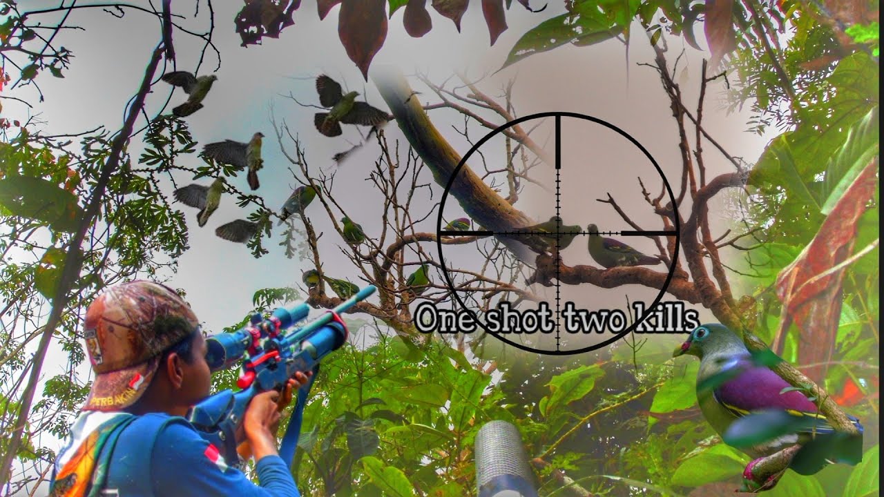ONE SHOT TWO KILLS Baru shot pertama sudah langsung dua points ...
