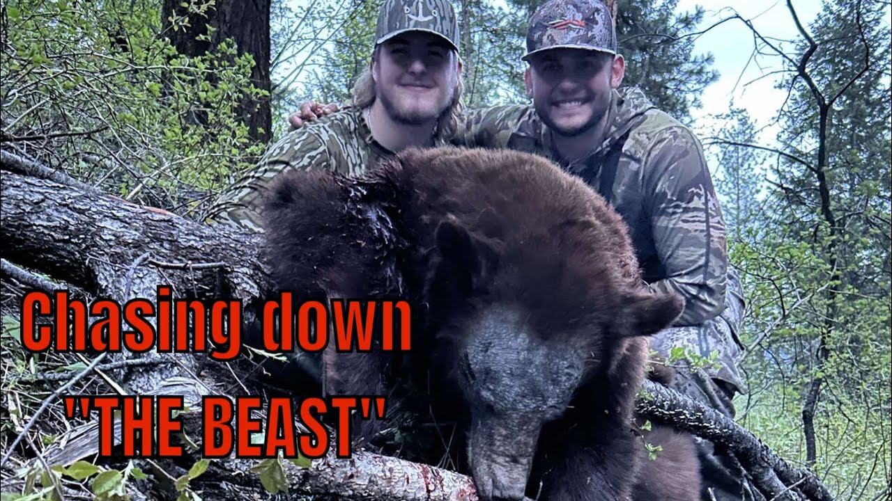 Chasing “THE BEAST” | Idaho Bear Hunt - YouTube