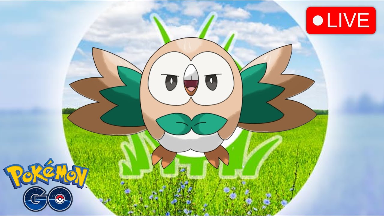 Rowlet Spotlight Hour Live | Pokemon Go Spotlight Hour - YouTube