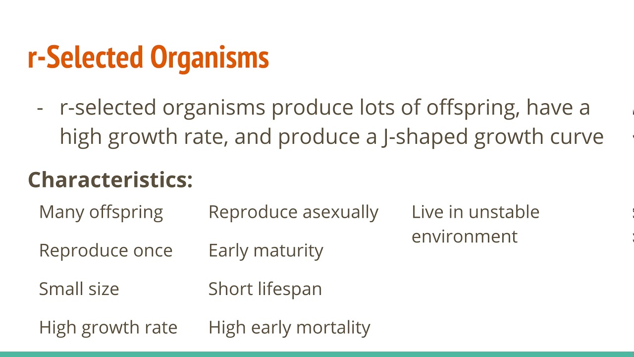 Bio 30 9.2.3 Life History Strategies - YouTube