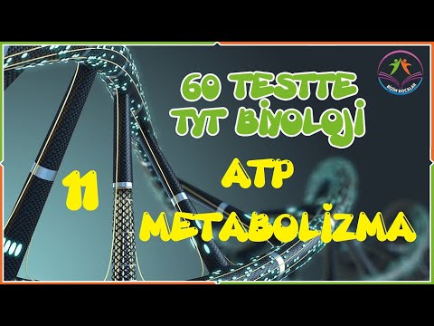 60 TESTTE TYT BİYOLOJİYİ BİTİRİYORUZ-11(ATP METABOLİZMA)